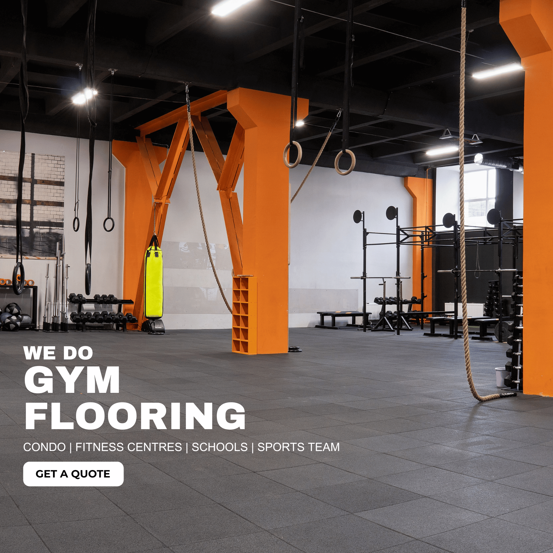 Gym Equipment Display Units