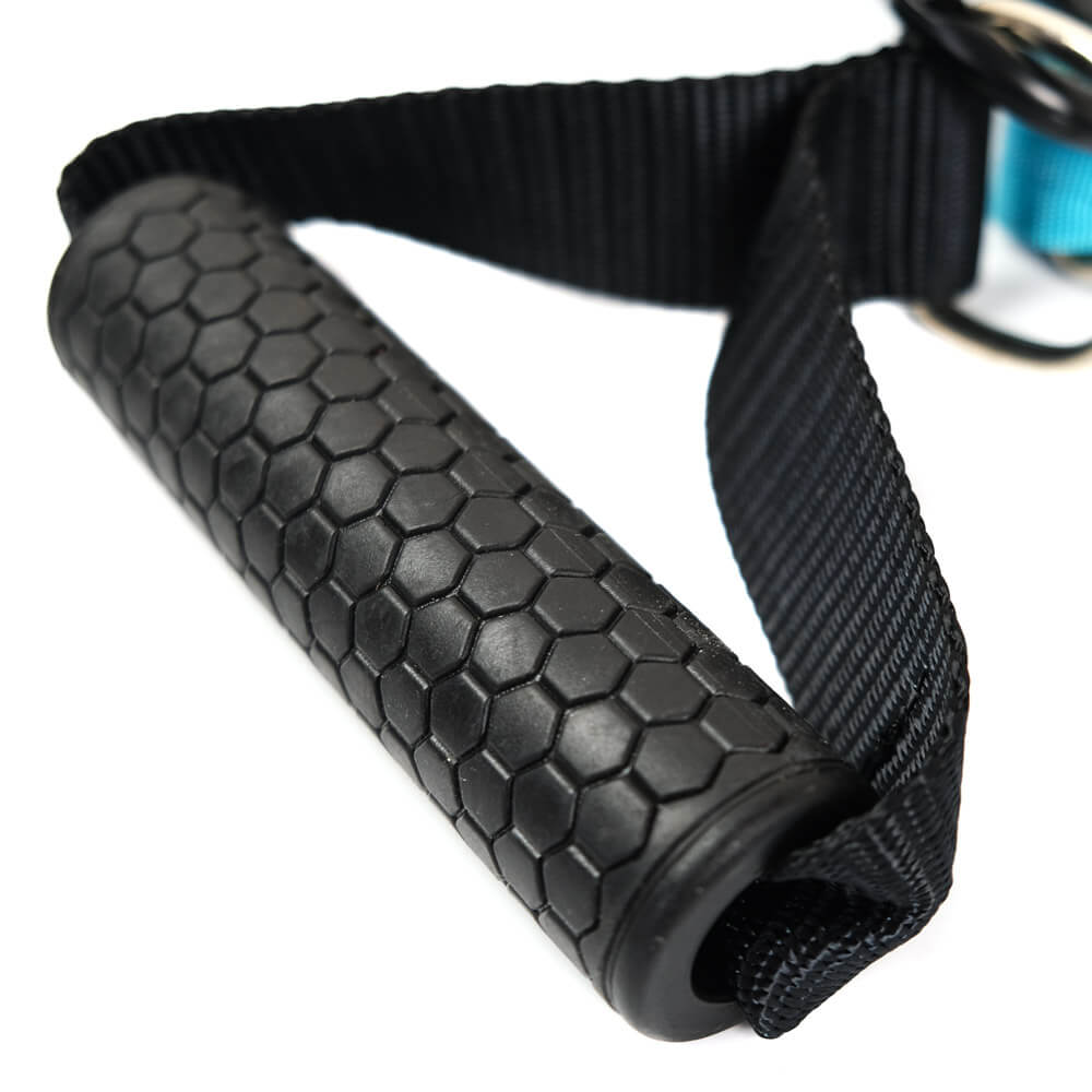 Fight Trainer Suspension Trainer | Premium Home Gym Equipment Singapore