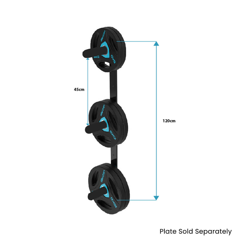 Wall Mounted Weight Plate Rack